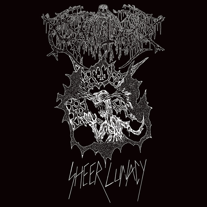 GRAVETAKER - Sheer Lunacy, LP – Silent Future Distribution